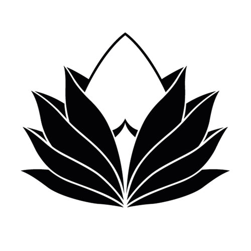 Designer Spotlight: Alex Chin – PlayingCardDecks.com