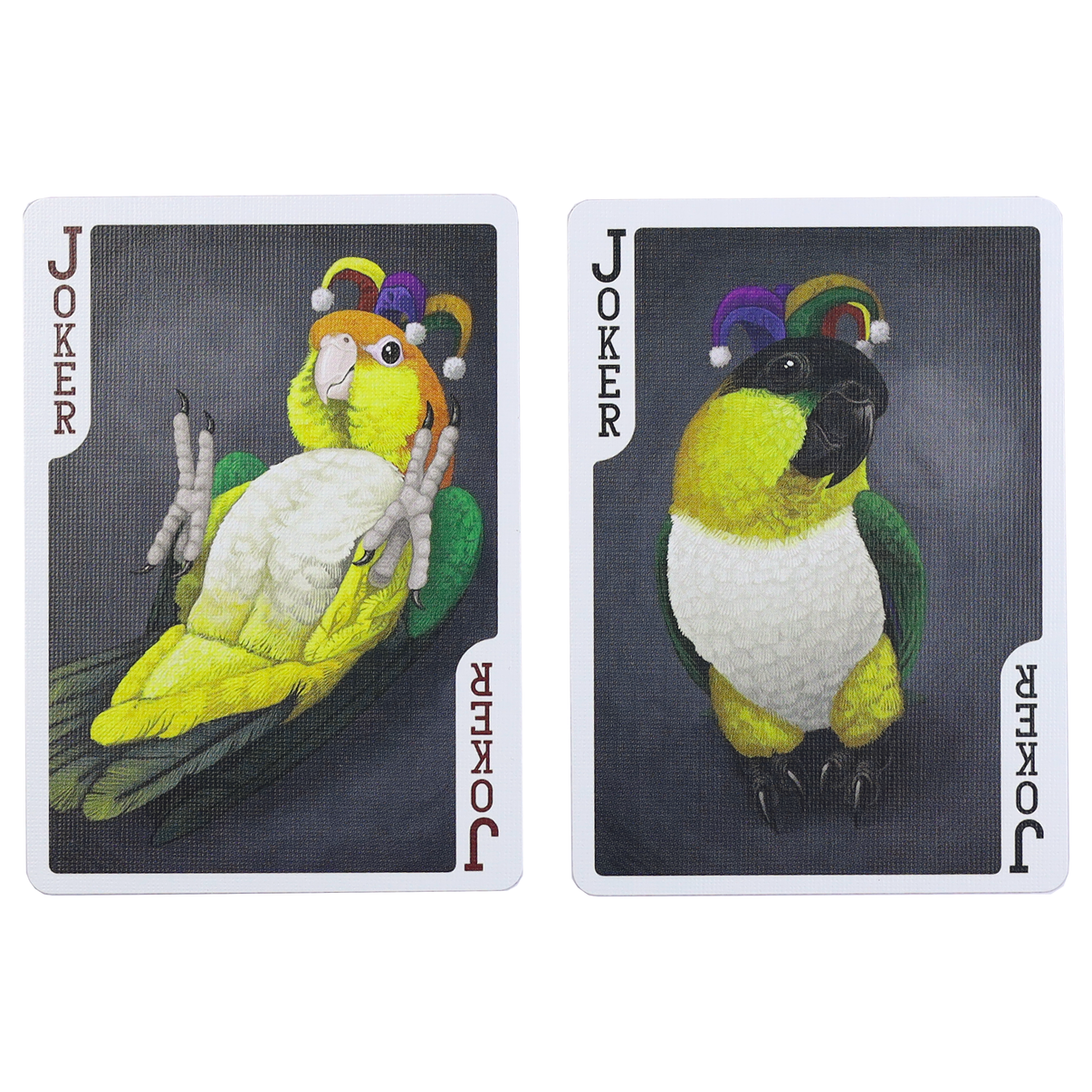 Parrot Bicycle Limited Edition Playing Cards – PlayingCardDecks.com