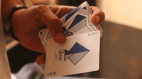 Biro Playing Cards Cartamundi – PlayingCardDecks.com