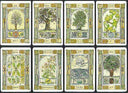 Celtic Tree Oracle - 25 Cards & 116 Page Guidebook – PlayingCardDecks.com
