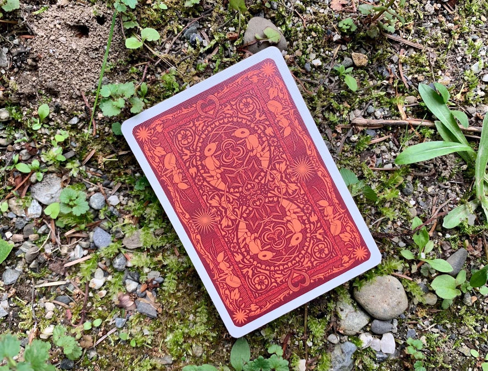 Ant Bicycle Playing Cards – PlayingCardDecks.com