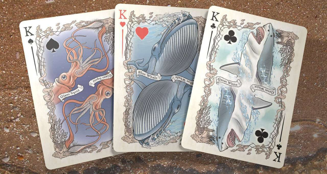 Sea Creatures Bicycle Playing Cards Deck – PlayingCardDecks.com